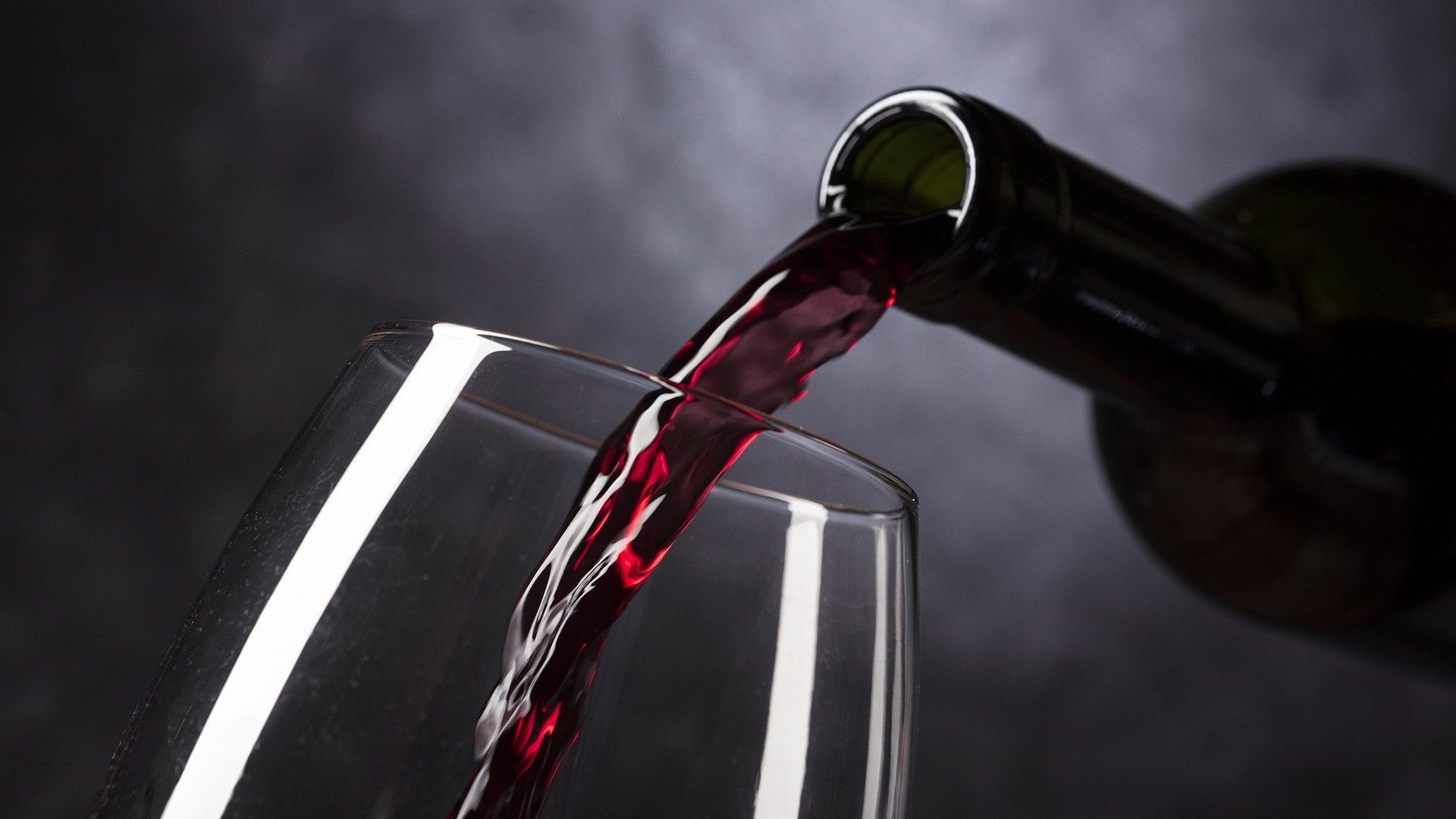 Wine plans: Plans to enjoy among wineries and vineyards | Rimontgó