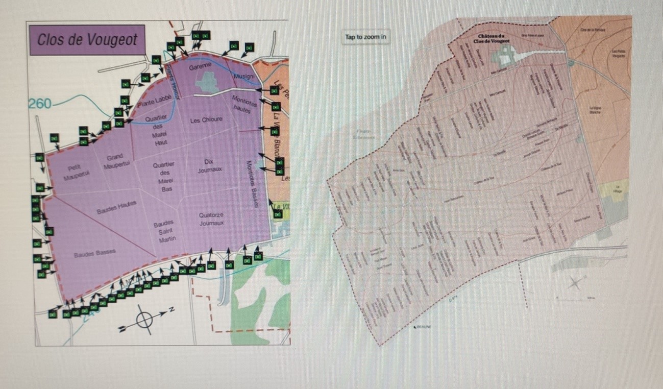 Clos de Vougeot | Rimontgó Wineries