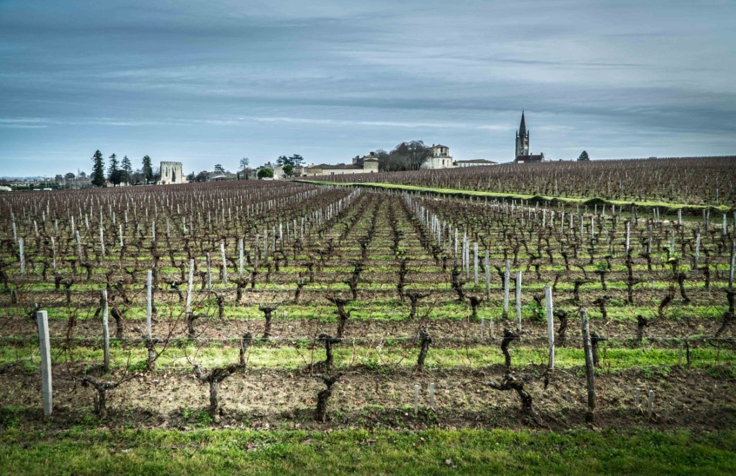 Saint Emilion | Rimontgó Bodegas