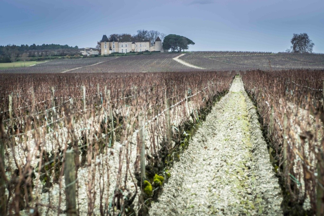Sauternes and Barsac | Rimontgó Wineries